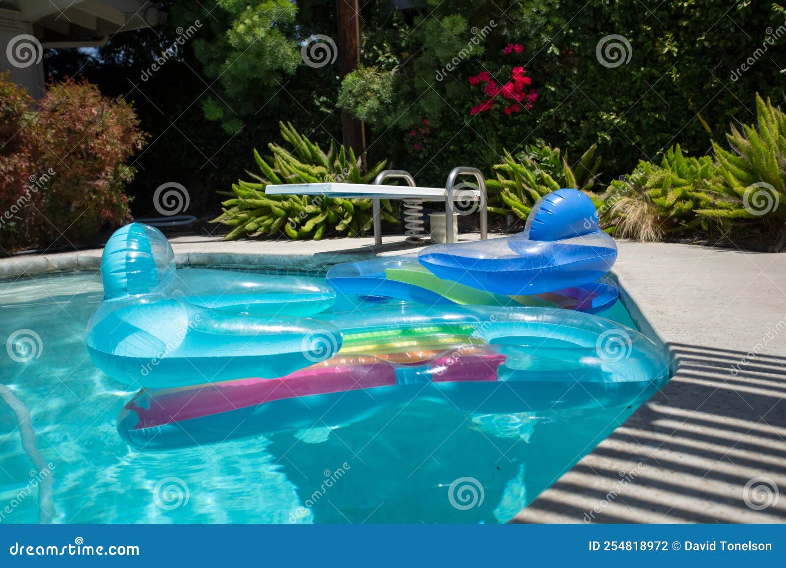 Swimming Pool Inflatable Floaties Stock Photo - Image of retail, bathe ...