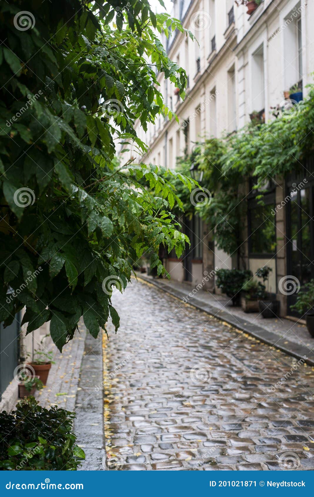 Typical Cobblestone Alley in Paris Stock Image - Image of french ...