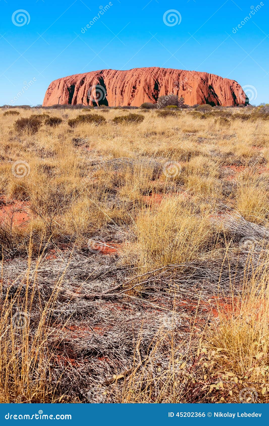 The View Of Uluru Or Ayers Rock In Semi Arid Desert Of Australia Red ...