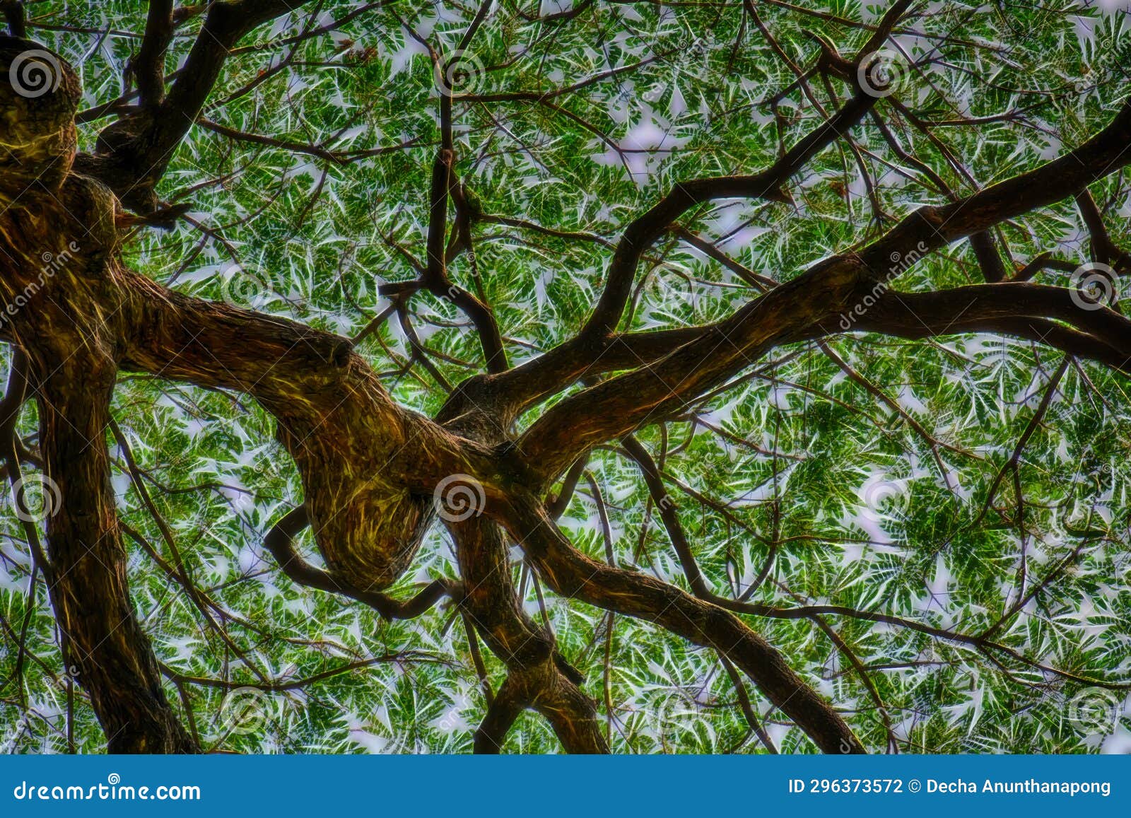 View under the big tree stock photo. Image of shade - 296373572