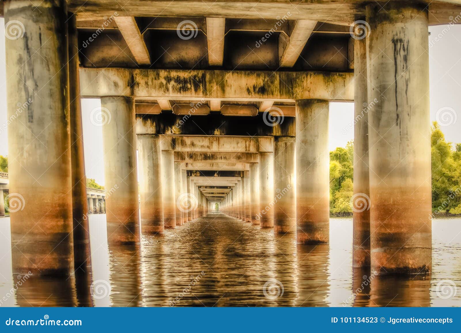Under a Bayou Bridge stock image. Image of water, bridge - 101134523