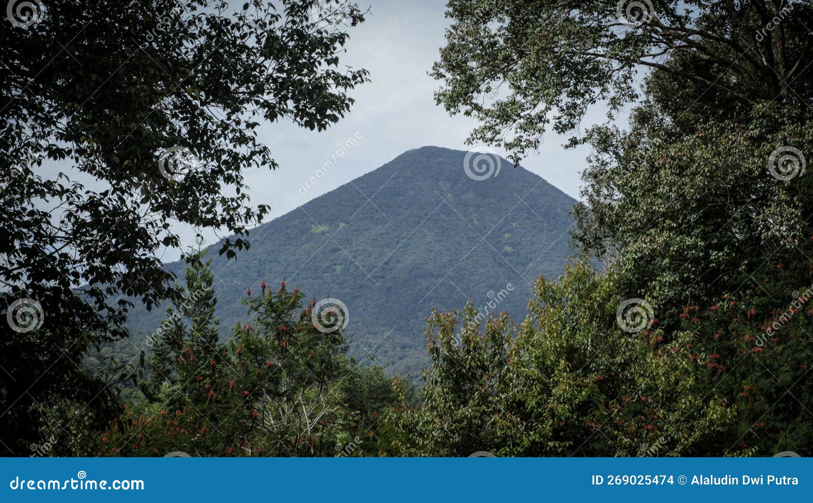 VIEW at PANGRANGO MOUNT stock photo. Image of nature - 269025474