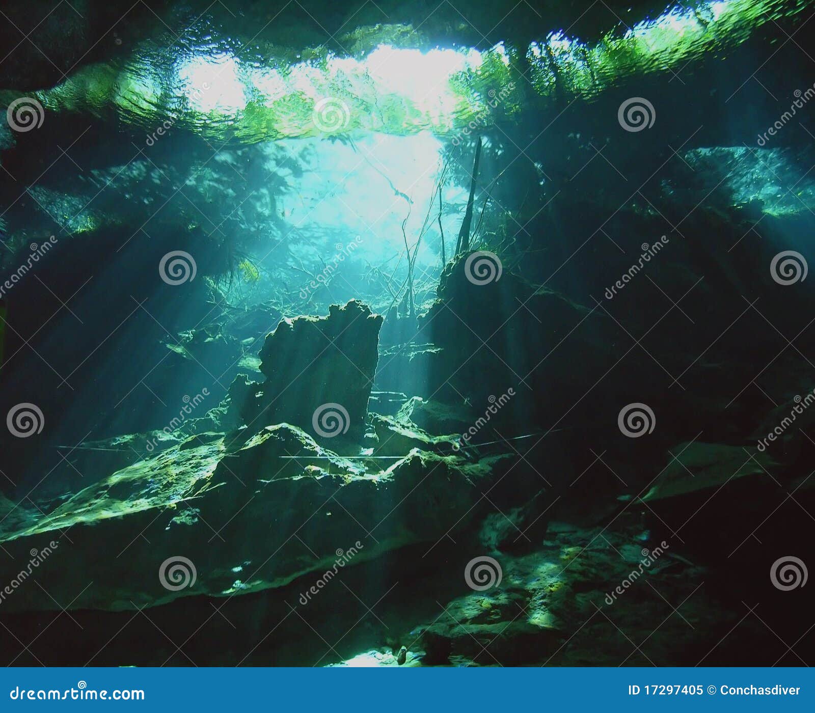 View from the underworld stock image. Image of jungle - 17297405