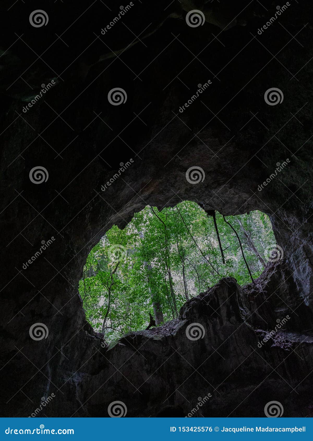 Cave Opening from Underground Looking Up Stock Photo - Image of ...