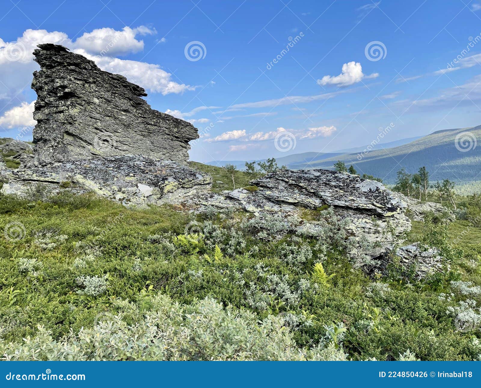 View of the Ural Mountains from the Dyatlov Pass in Summer. Russia ...