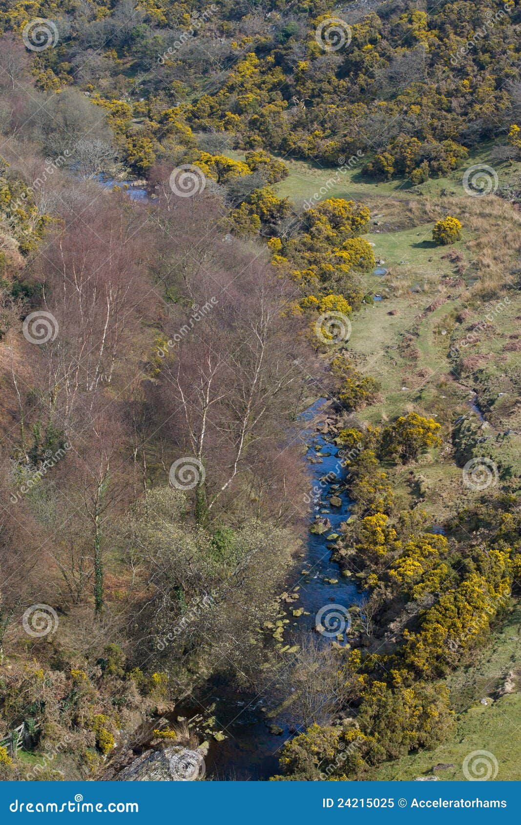 A View of the Valley from Meldon Viaduct in Devon Stock Image - Image ...