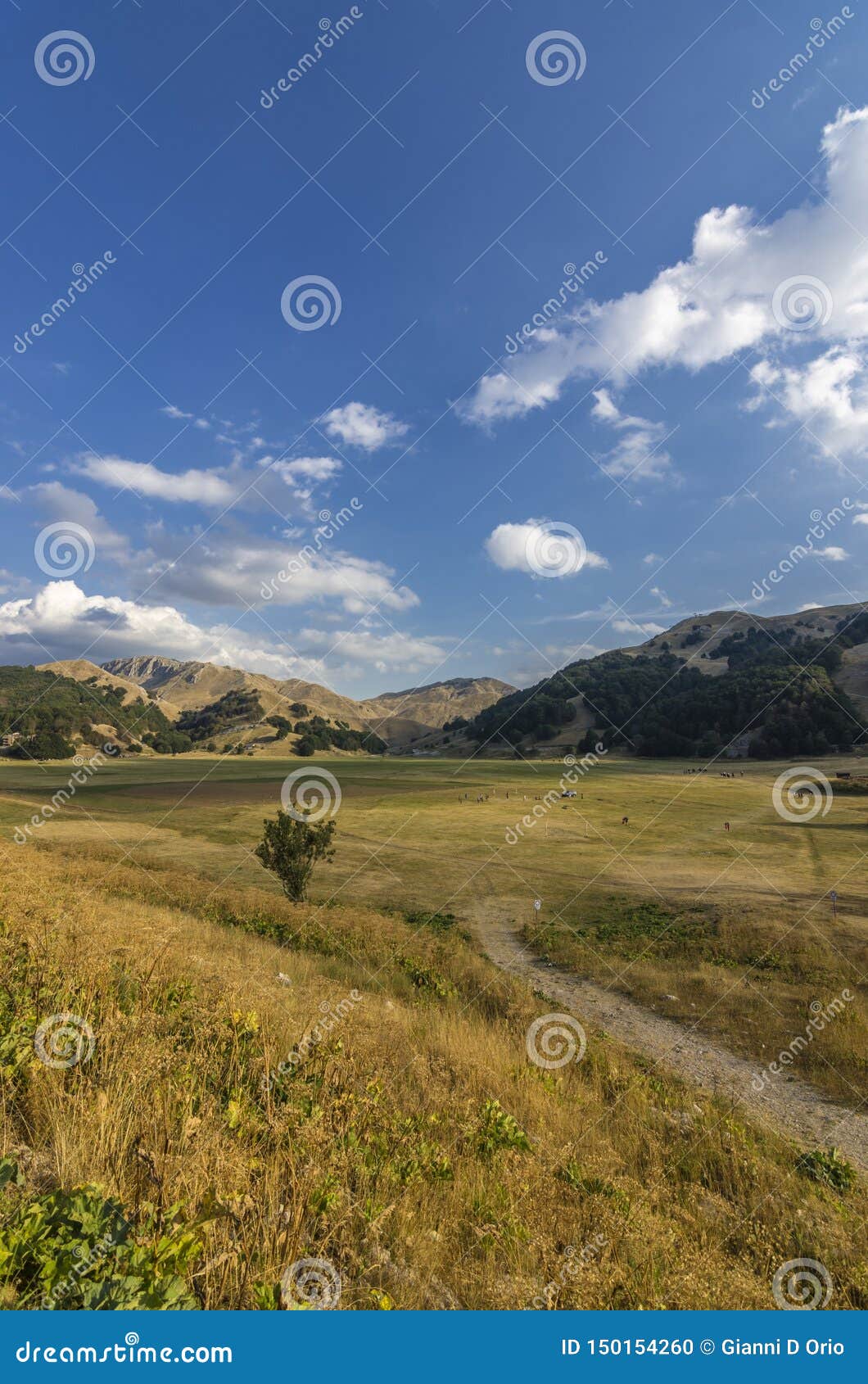 View of the Valley in the Mountains with Summer Activities Stock Photo ...