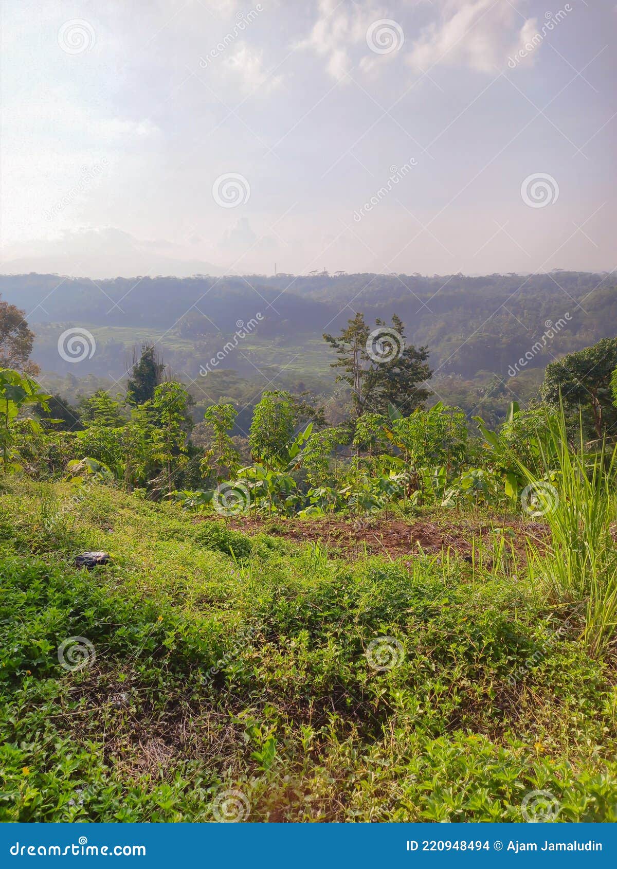 View of the Valley between Two Hills. Stock Photo - Image of flower ...