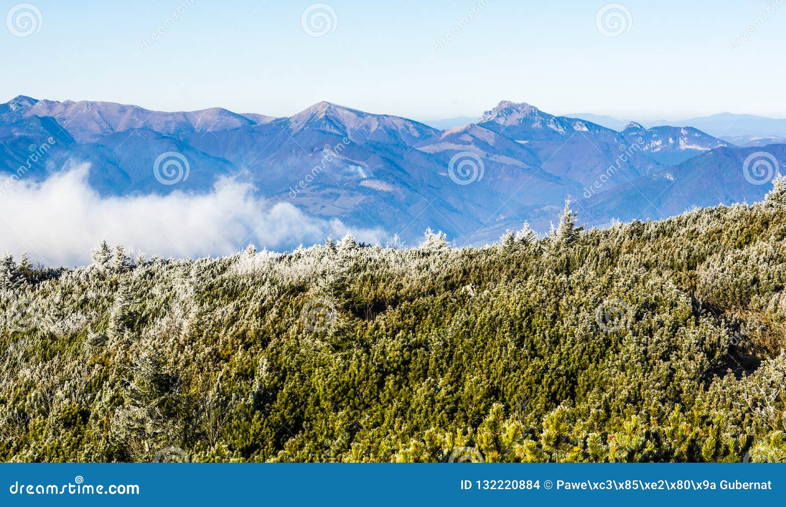 View of the Velky Rozsutec Peak in the Mala Fatra Range Stock Photo ...