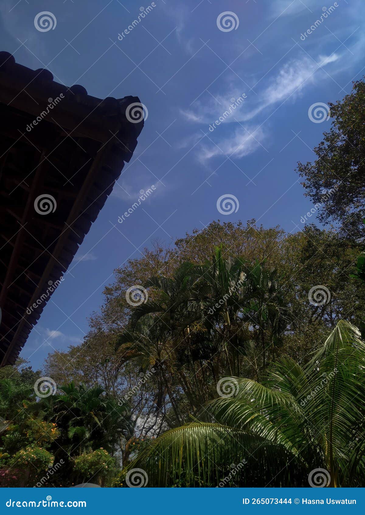 The View is Very Extraordinary Stock Photo - Image of trees, views ...