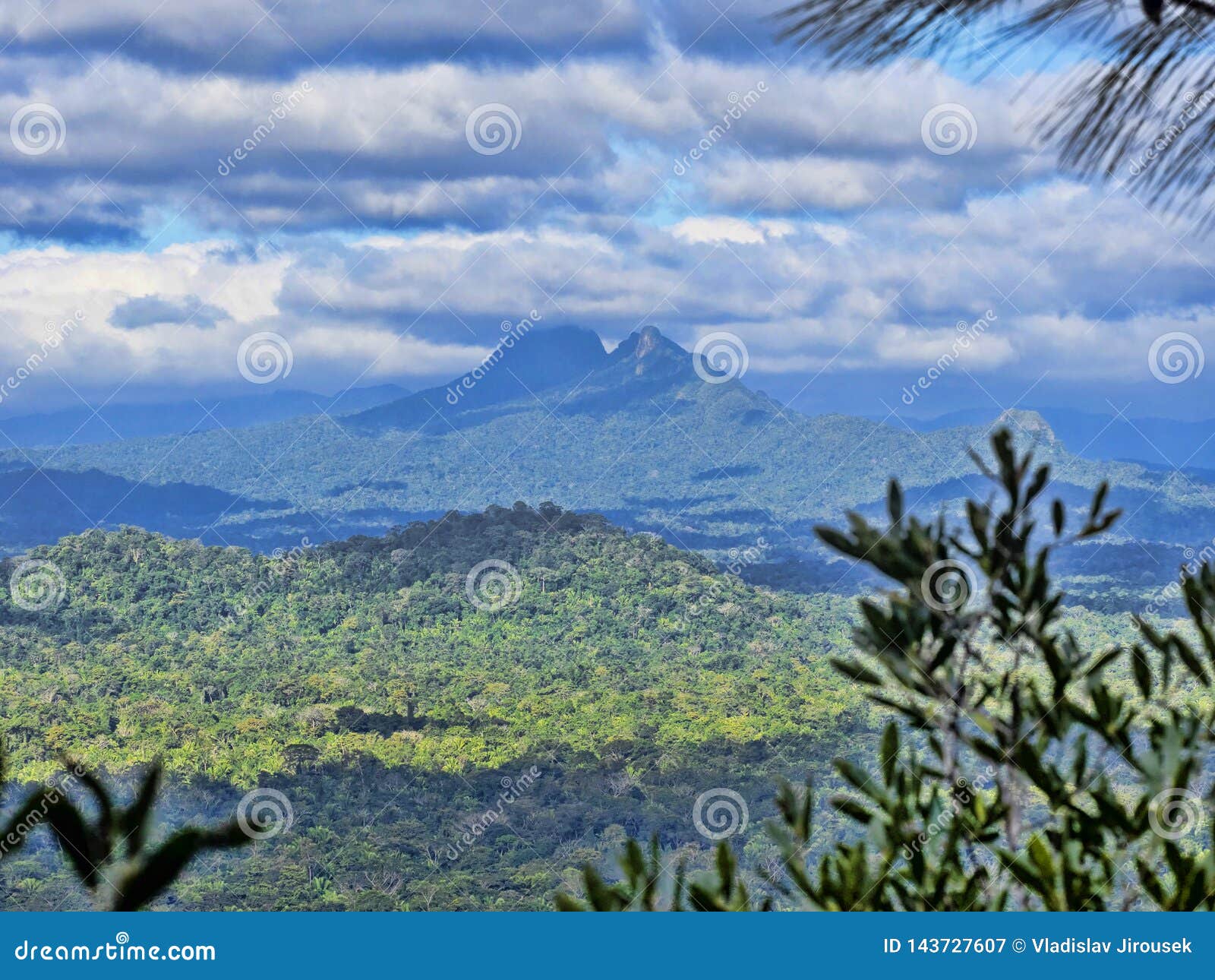 View from Above on Cockscob Basin Wildlife Sanctuary Belize Stock Image ...