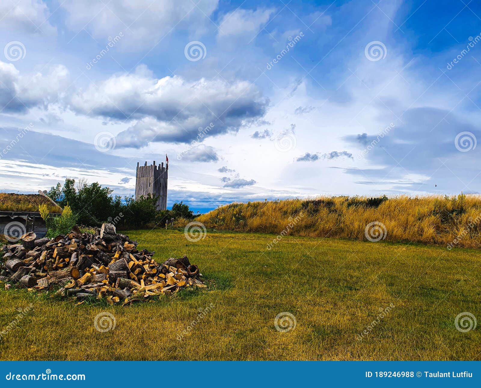 View of a viking tower stock photo. Image of tree, mountain - 189246988