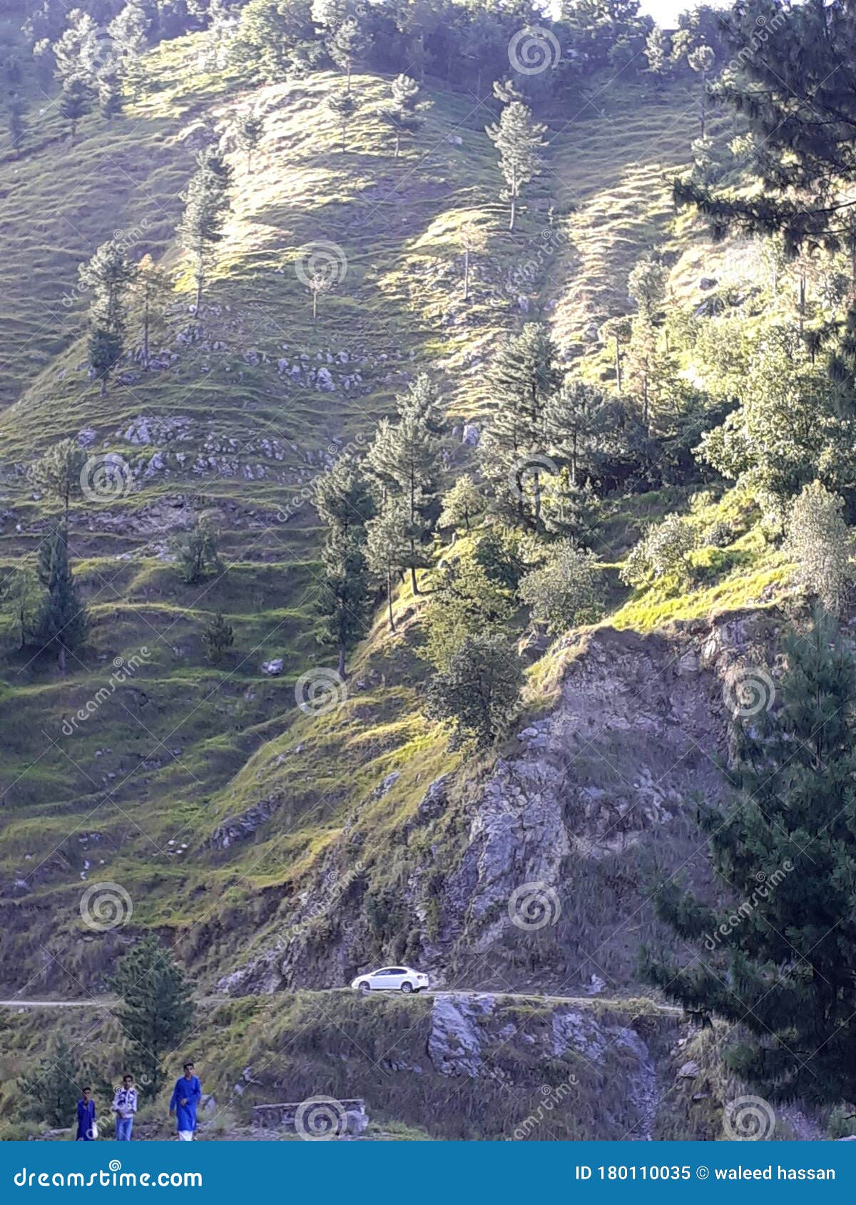 View of Village stock image. Image of plants, trees - 180110035