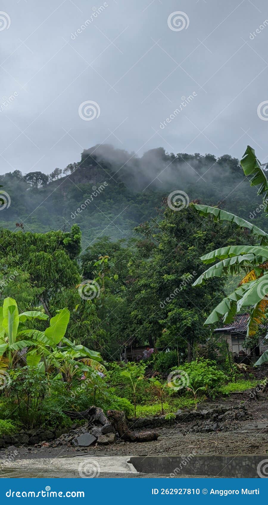 View of the Village after Heavy Rain Stock Photo - Image of heavy ...