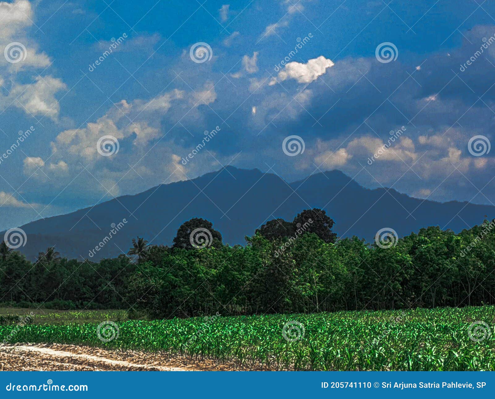 A View of a Village in a Pesawaran District Stock Photo - Image of ...
