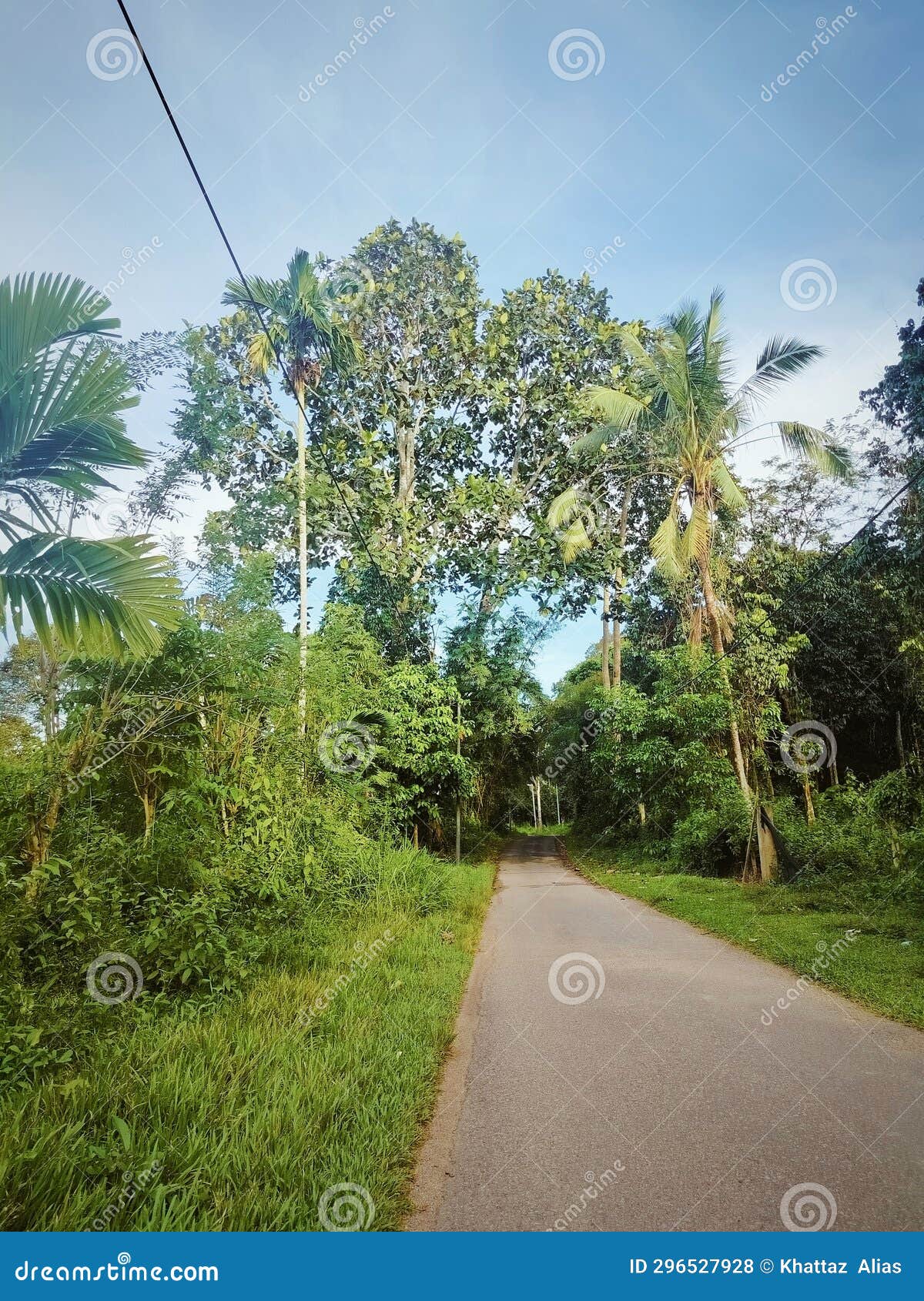 View of the Village Road Surrounded by Beautiful Green Trees Stock ...