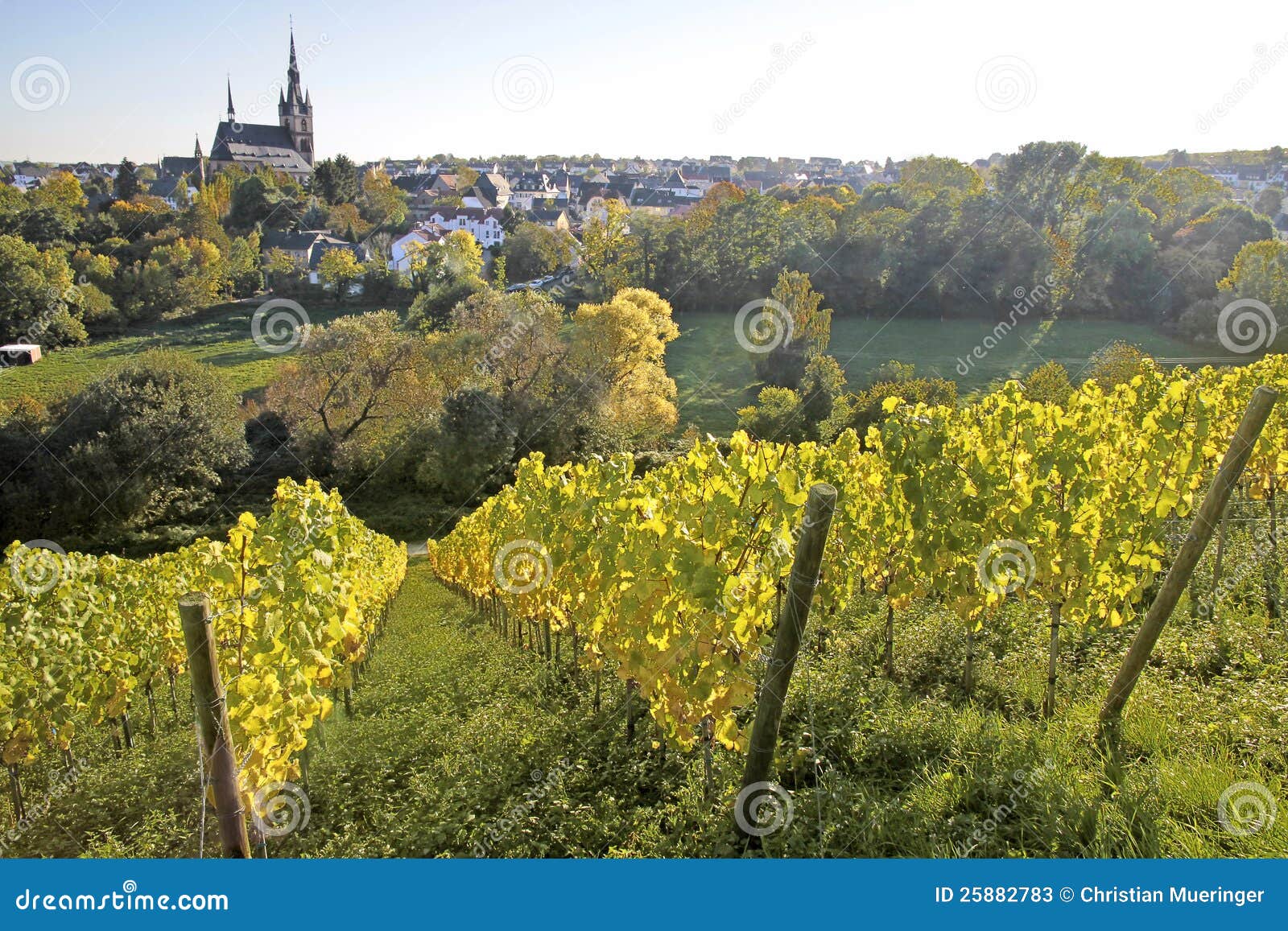 The Village Of Kiedrich In One Of Germany`s Most Famous Wine Regions ...
