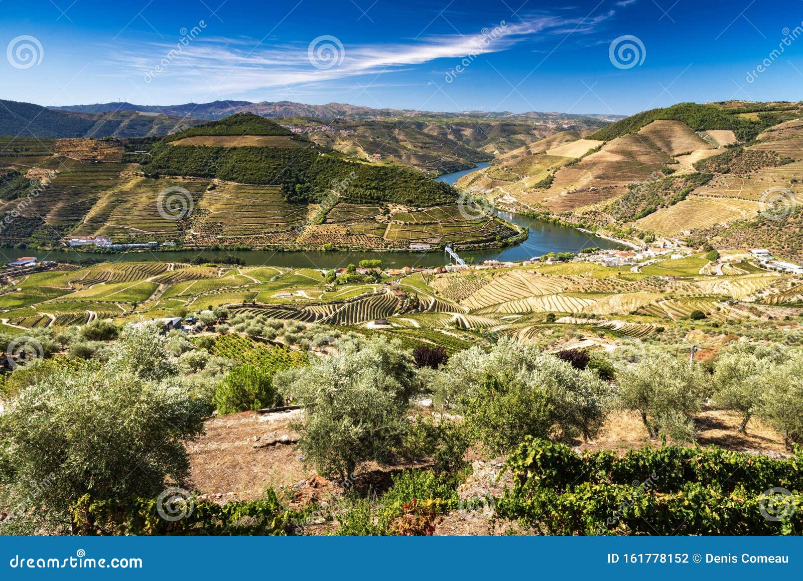 View of the Vineyards and the Douro River at Pinhao, Portugal Stock ...