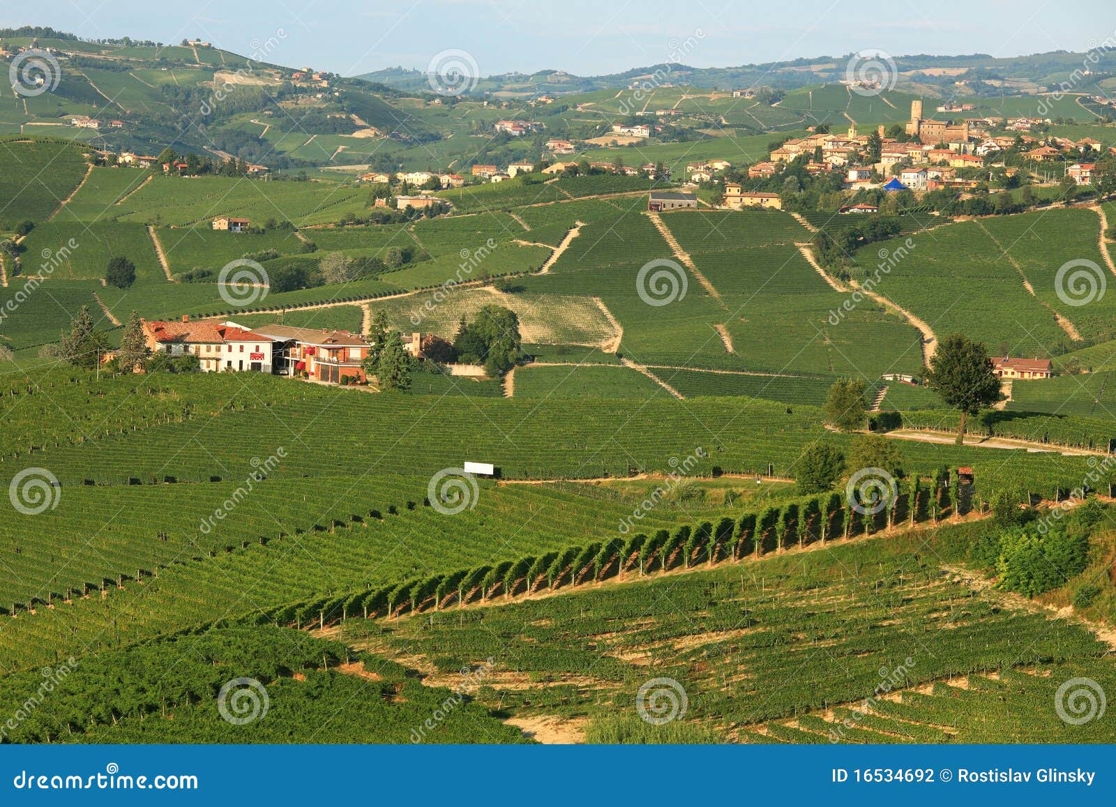 View on Vineyards in Northern Italy. Stock Photo - Image of europe ...