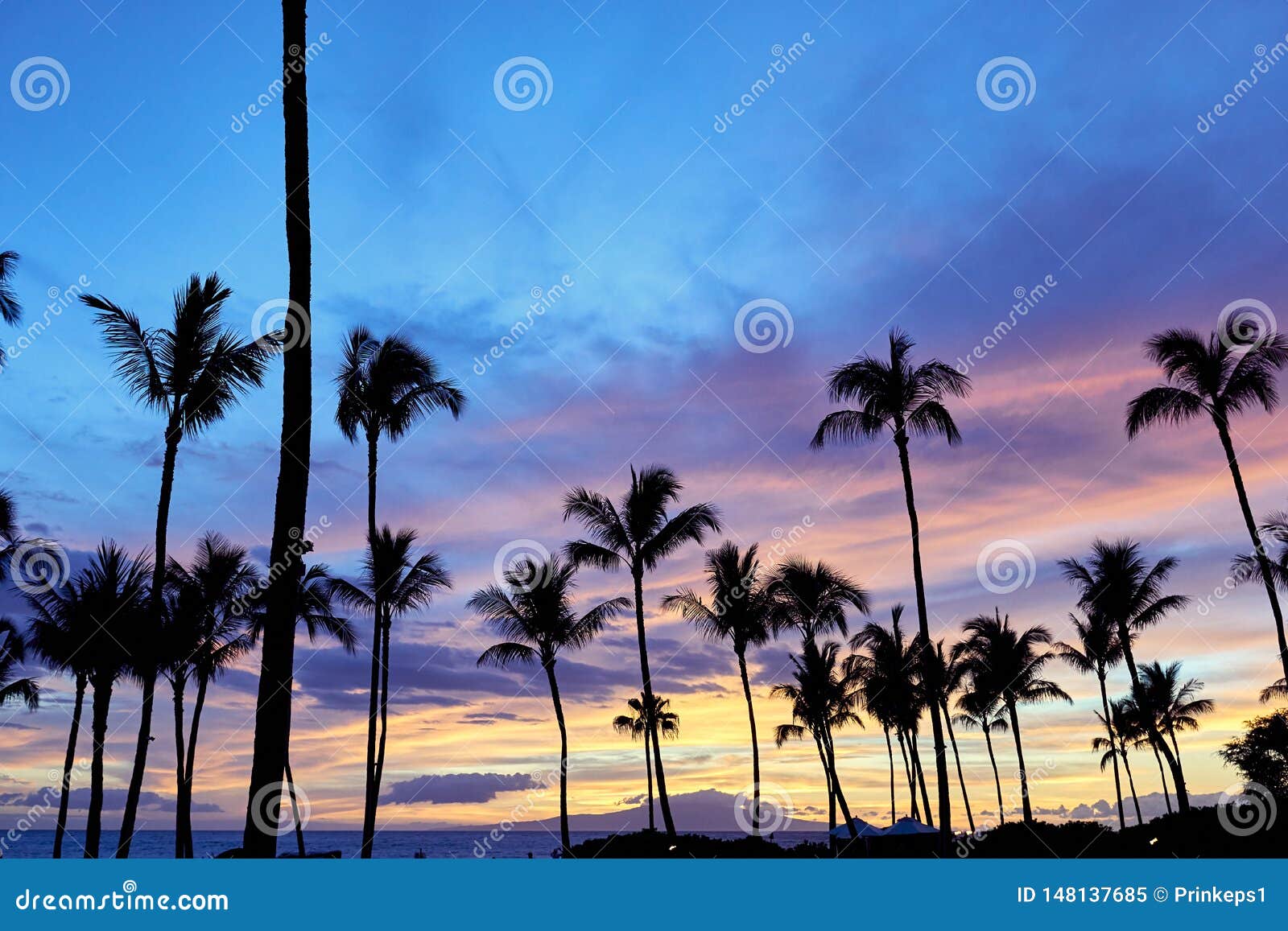 Silhouette Of A Hawaiian Hula Dancer At Sunset With Palm Trees On The ...