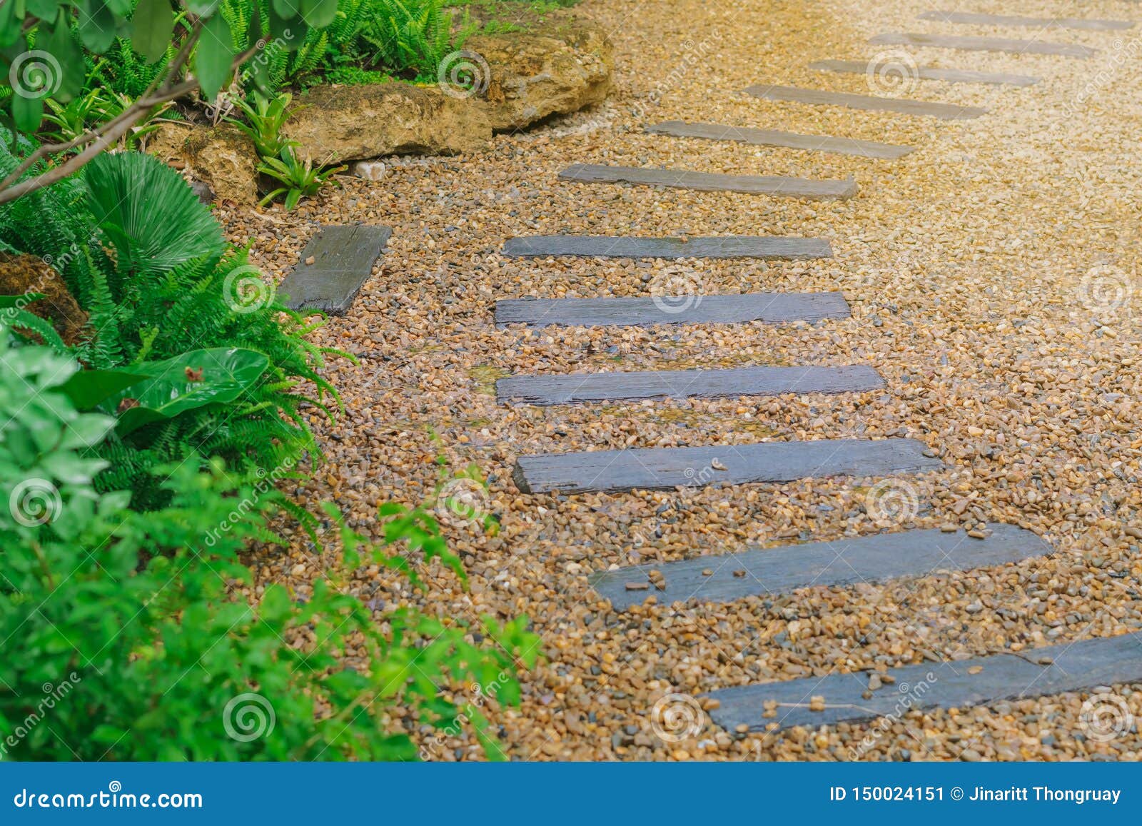 View of Walkway in the Garden and Green Shrub beside Pathway. Stock ...