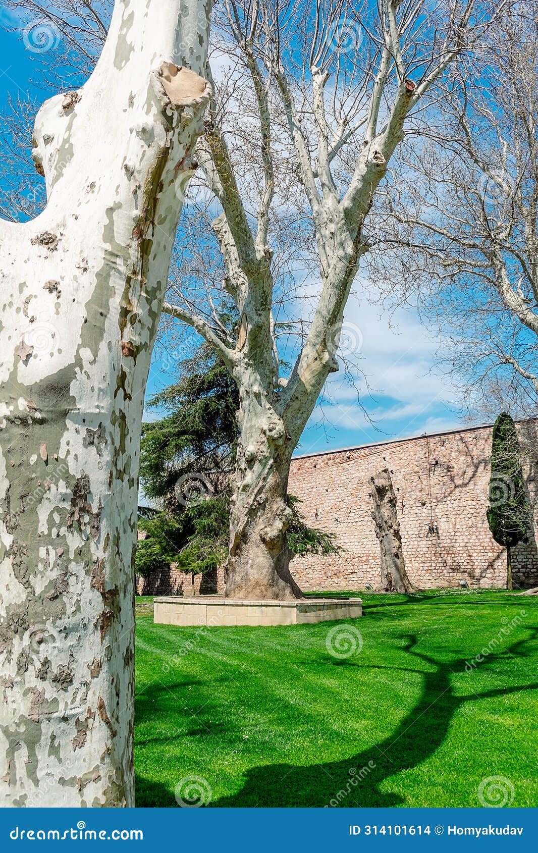 View of the Walls and Topkapi Tower in Istanbul. Stock Photo - Image of ...