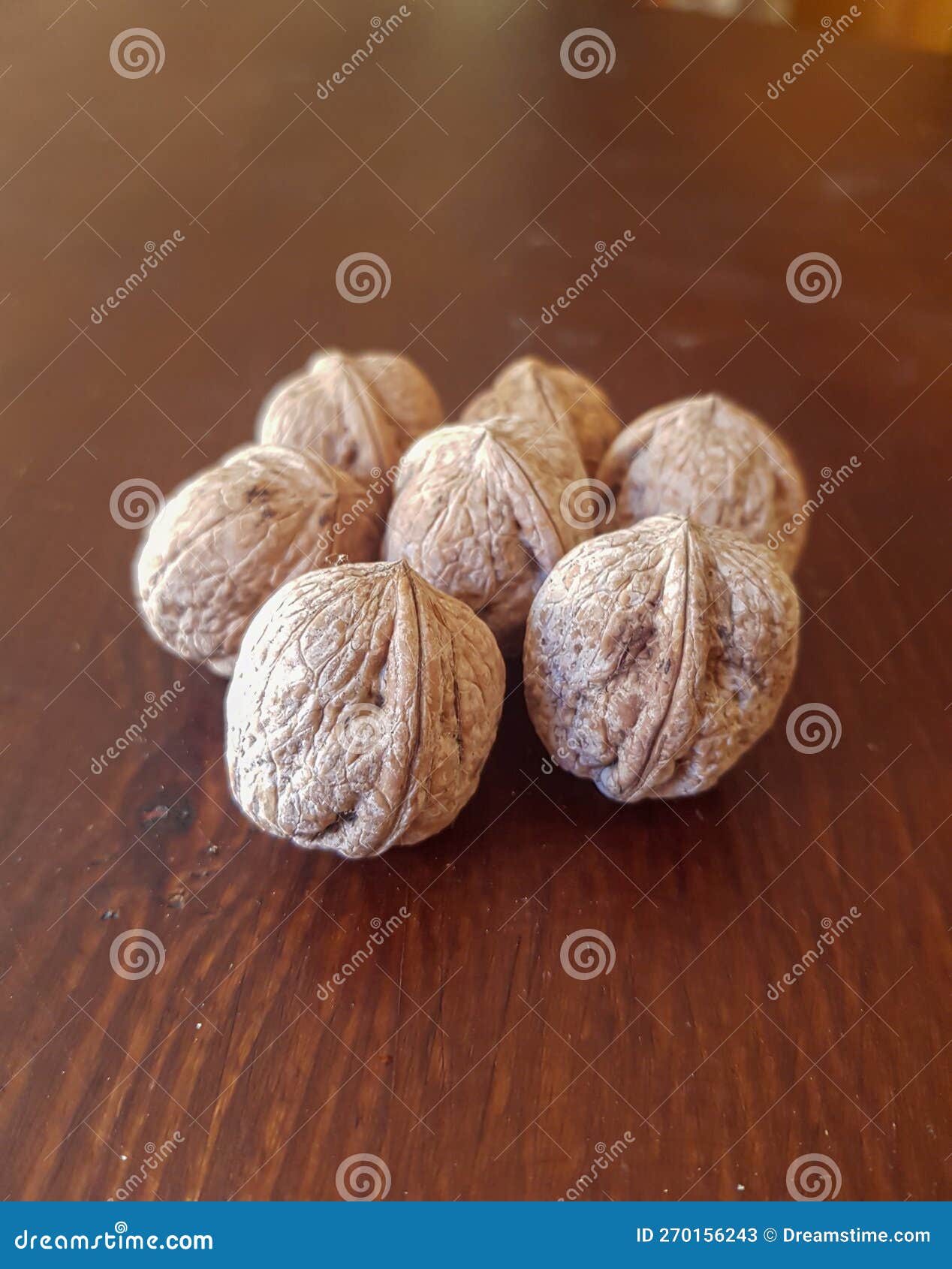 A View of Walnut Seeds a Journey in Cultivation and Nutrition Stock ...
