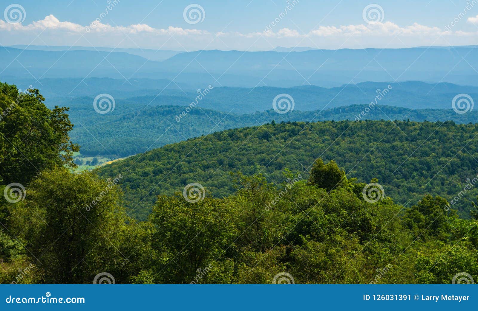 View from Warm Spring Mountain Fo the Allegheny Mountains Stock Image ...