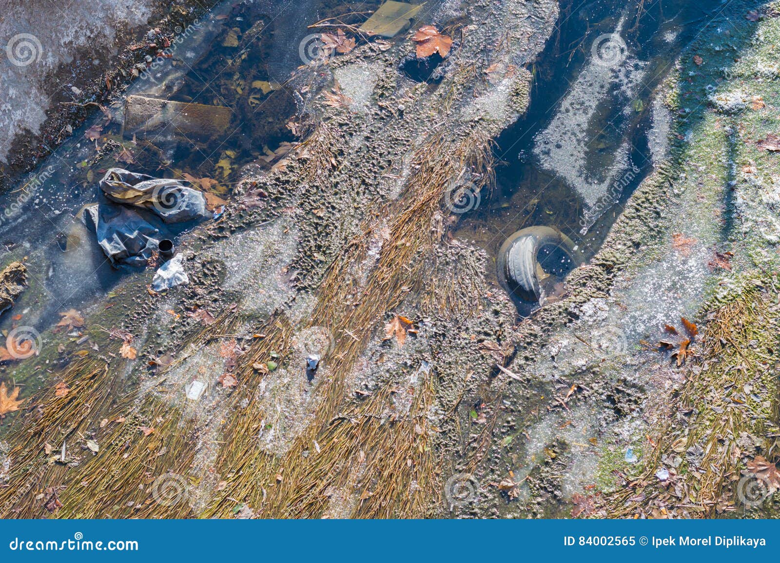 View of Wastewater, Pollution and Garbage in a Canal Stock Image ...