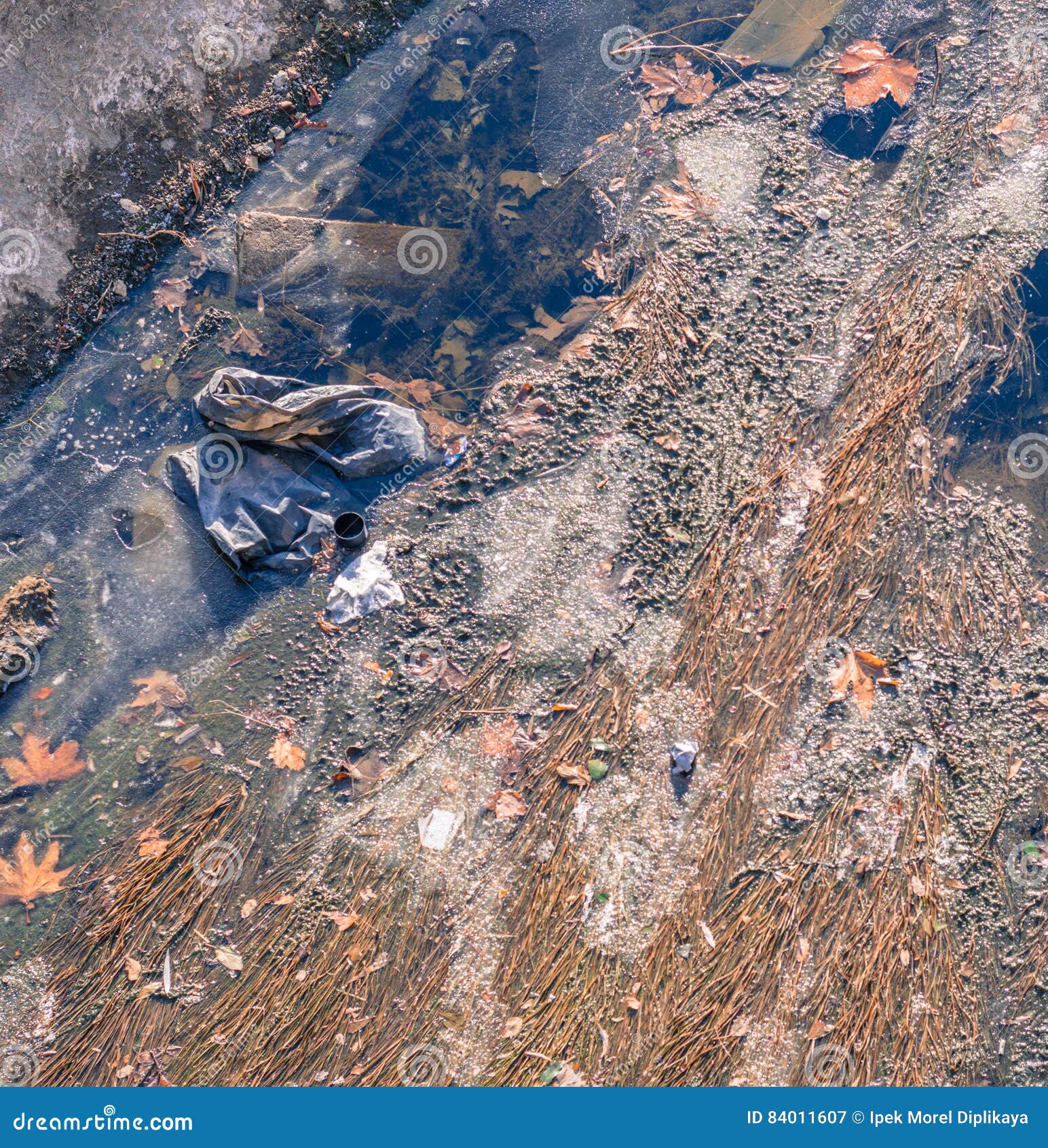 View of Wastewater, Pollution and Garbage in a Canal Stock Image ...