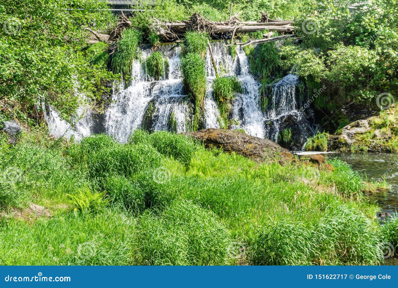 Waterfall and Grass stock image. Image of waterfall - 151622717