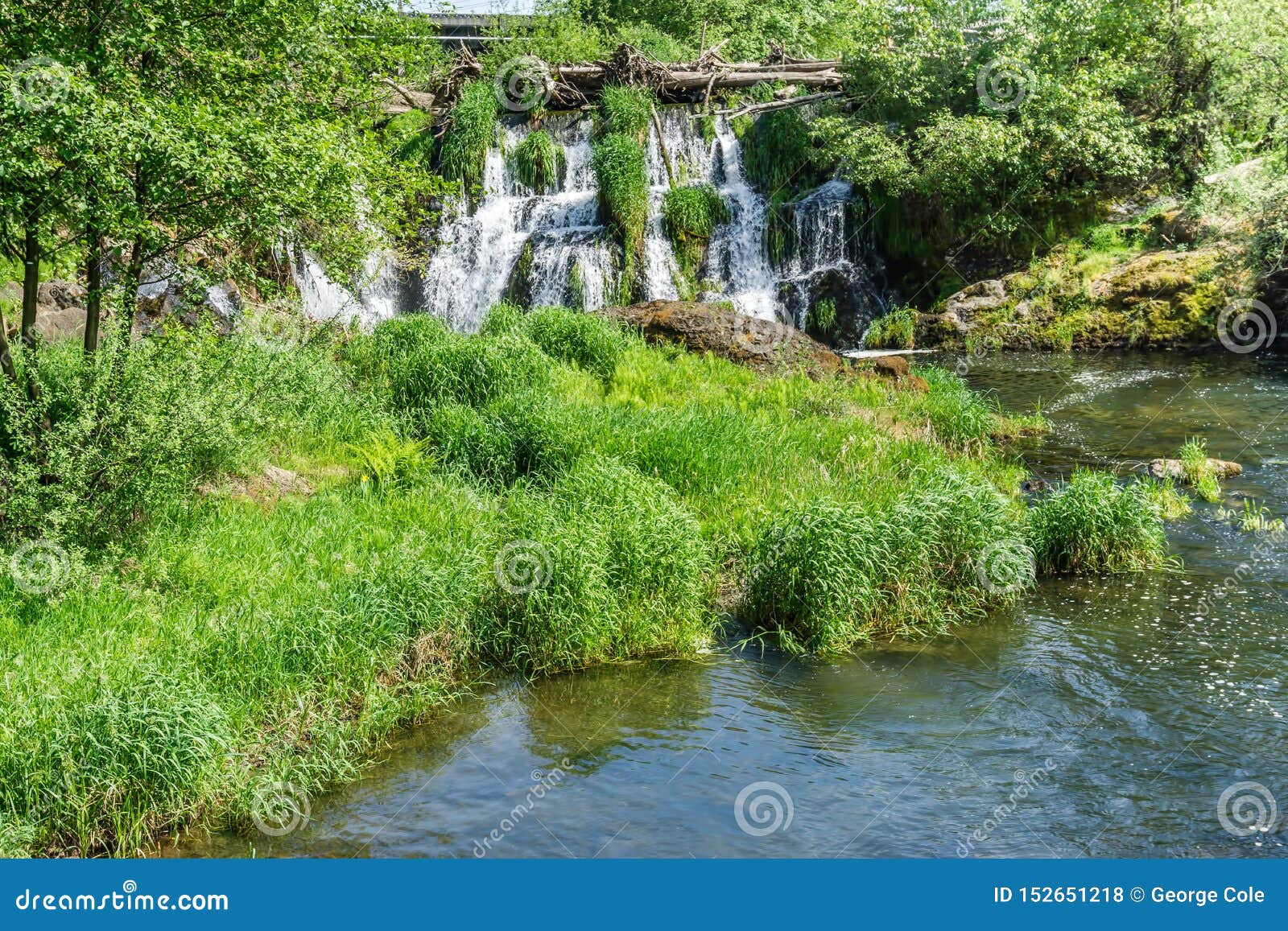 Waterfall and Grass 2 stock photo. Image of green, cascade - 152651218
