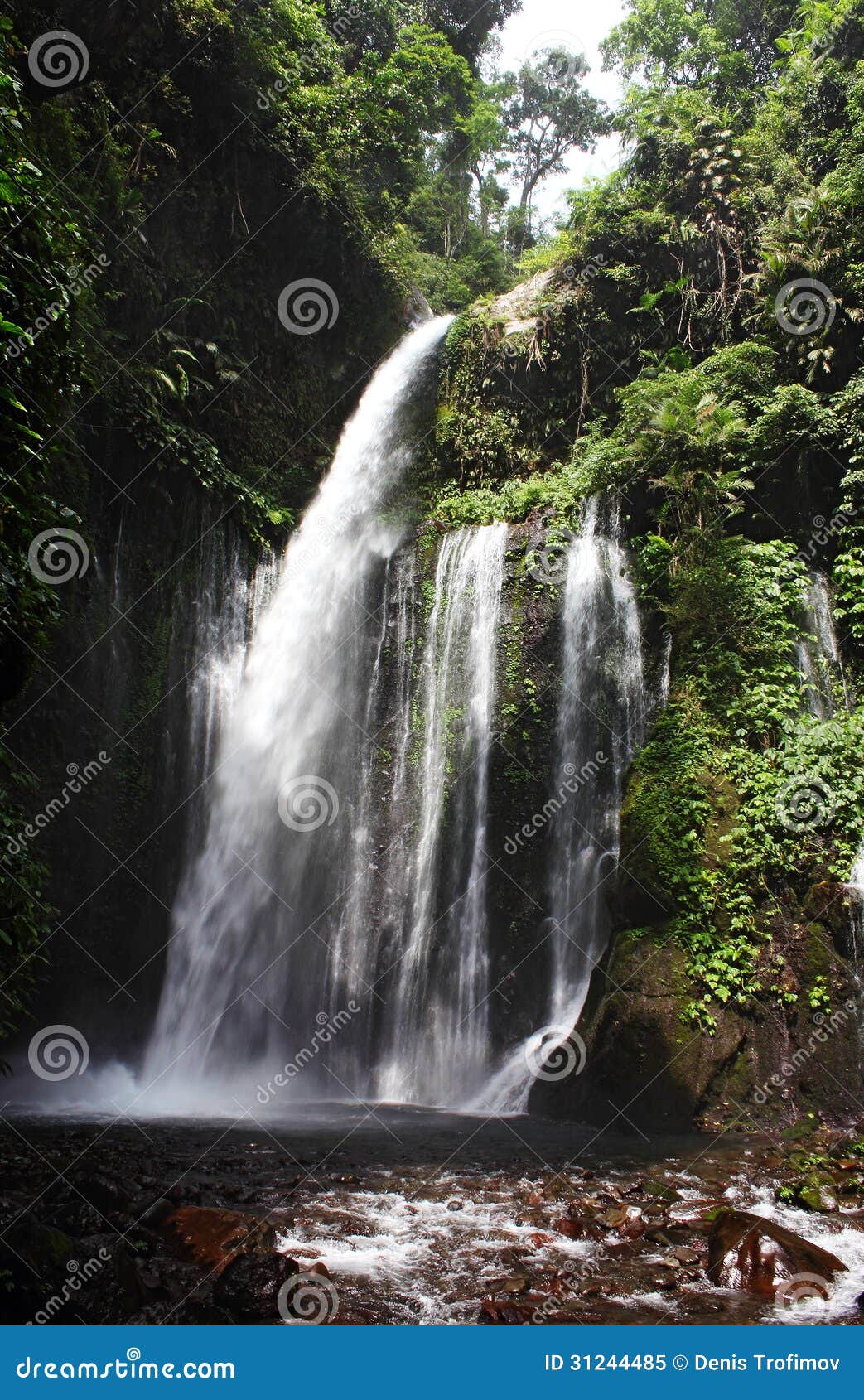 View of the Waterfall in Jungle Stock Image - Image of rainforest ...