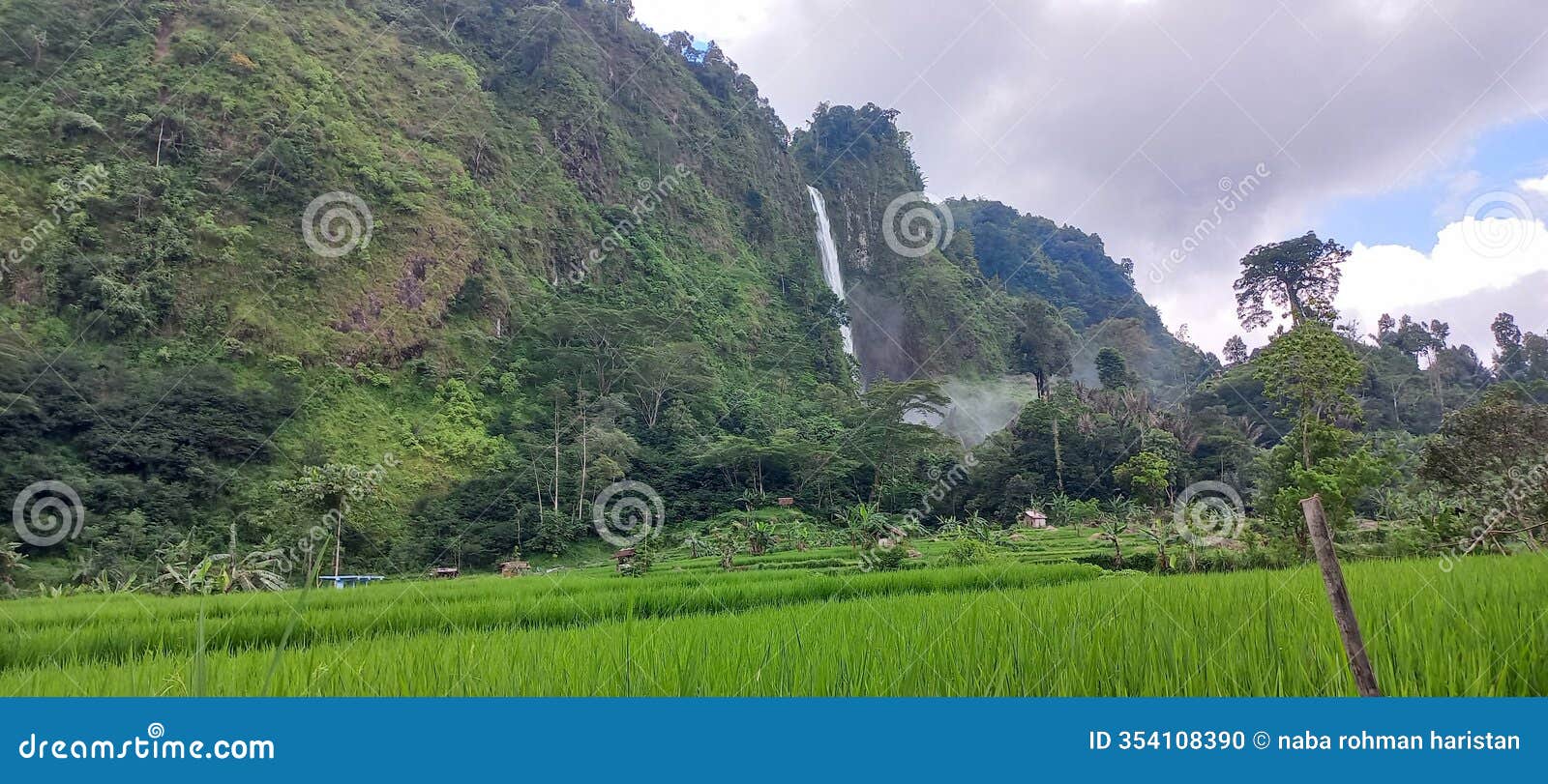 View Waterfall and Rice Field, Green Nature, Hills Stock Photo - Image ...