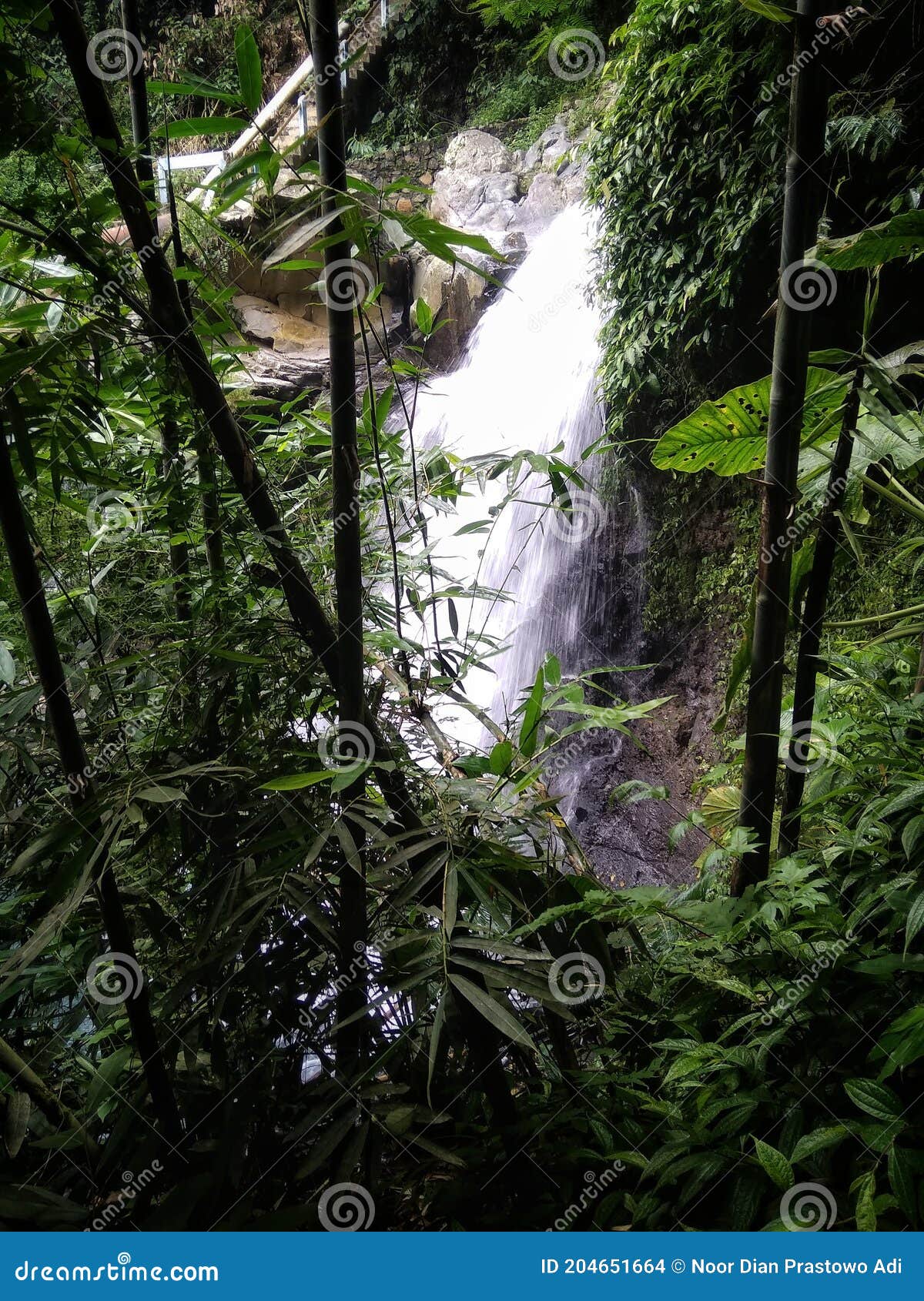 View of the Waterfall from the Side Stock Photo - Image of tree, side ...