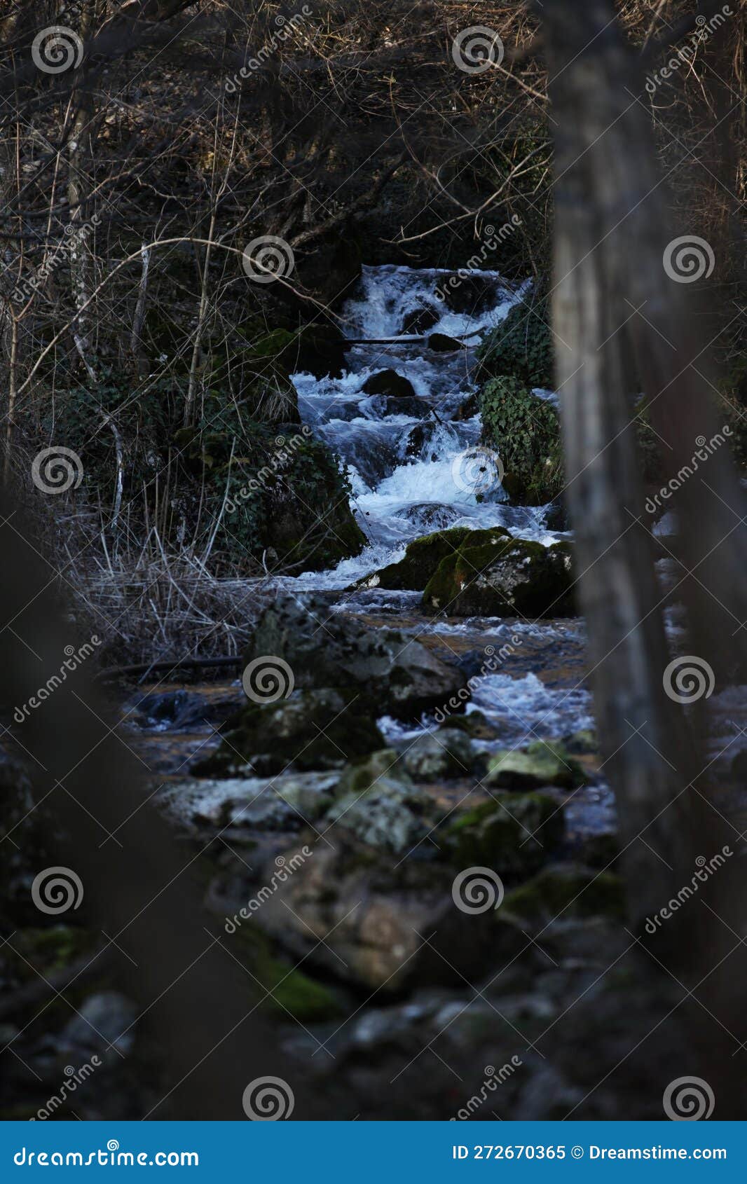 A View of the Waterfall through the Trees Stock Image - Image of ...