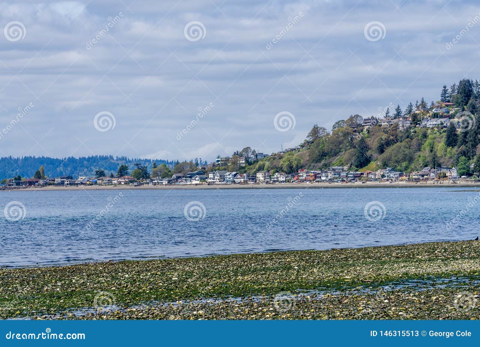 Three Tree Point Shoreline Homes 2 Stock Image - Image of three, tree ...