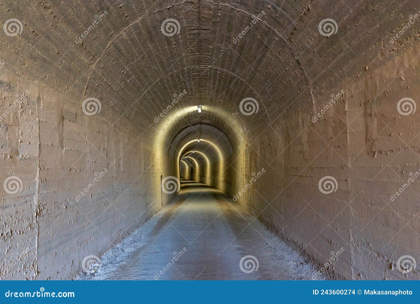 View of a Well-lighted Tunnel of an Old Railroad Track Leading into ...