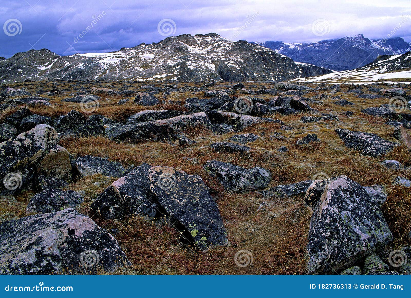 View from West Summit Beartooth Pass 62452 Stock Image - Image of ...