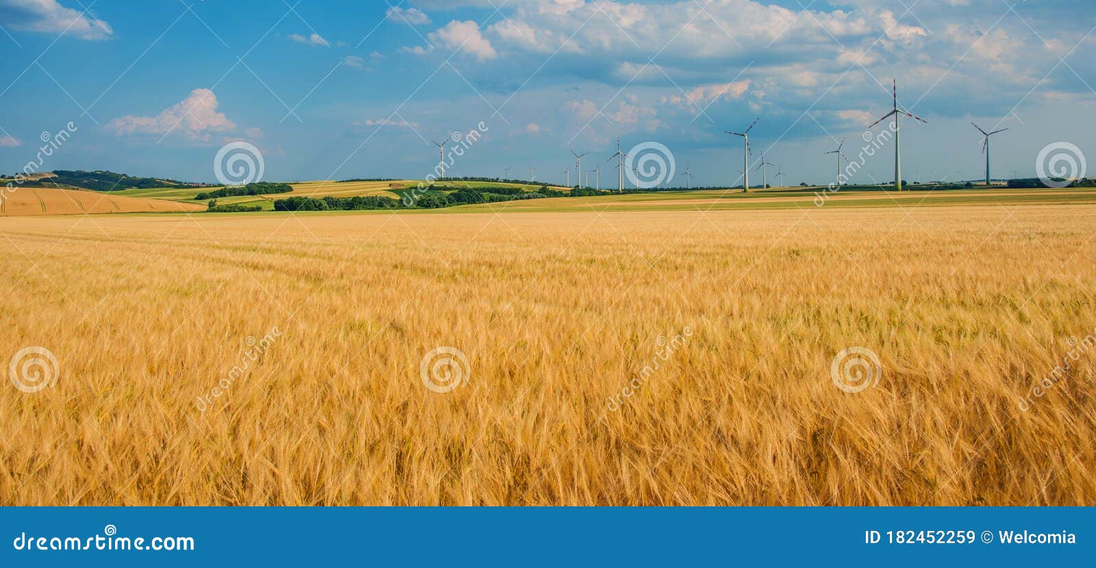View of Wheat Farm and Wind Mills Stock Image - Image of sunbeam, field ...