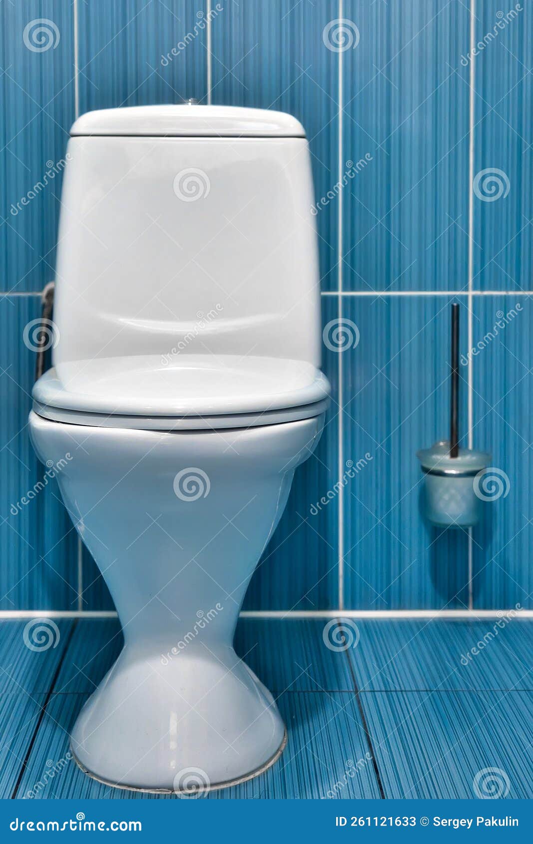 View of White Toilet with Closed Lid in Toilet with Blue Tiled Wall ...