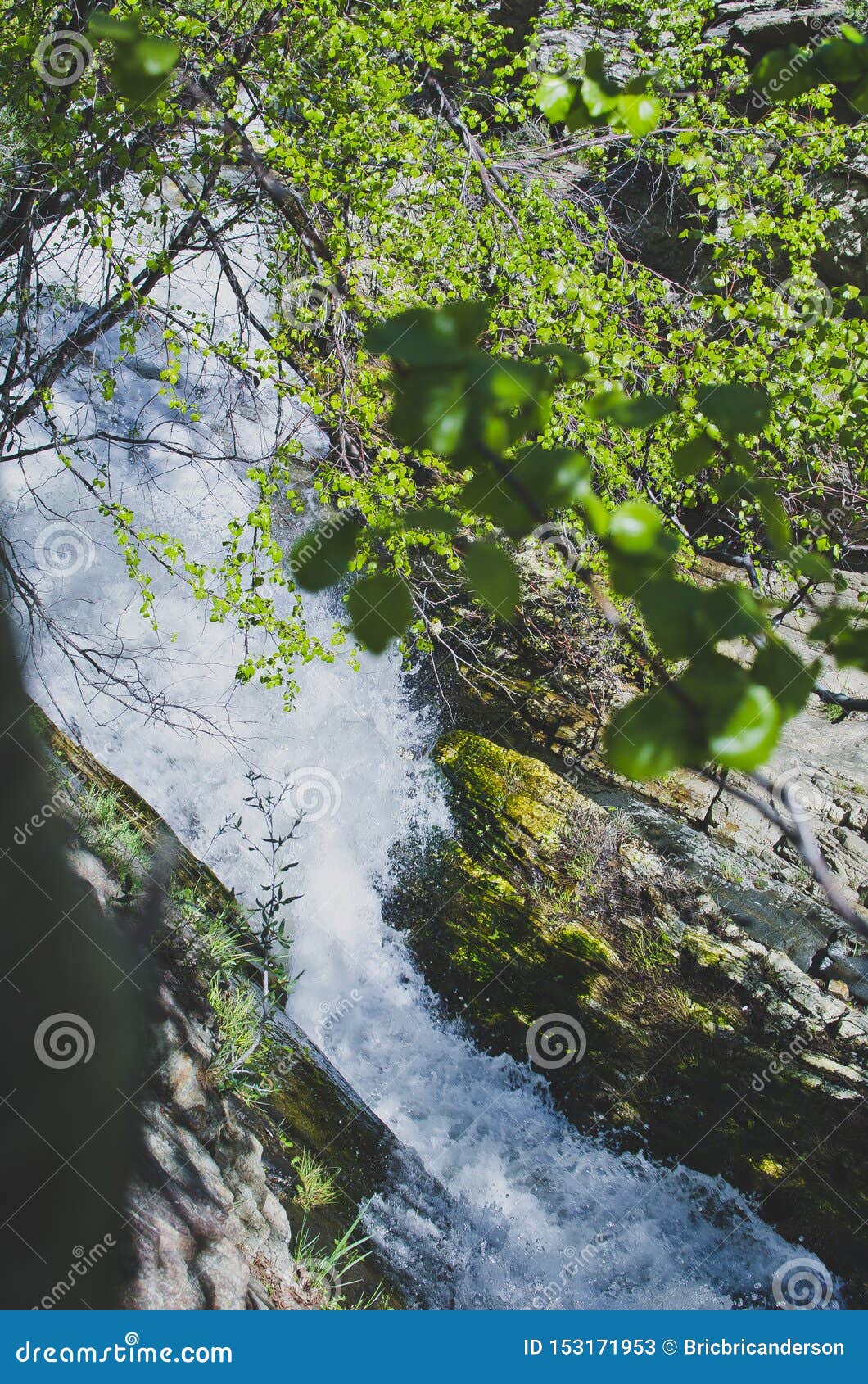 A Forest Waterfall Running Down the Rocks Stock Image - Image of rapid ...