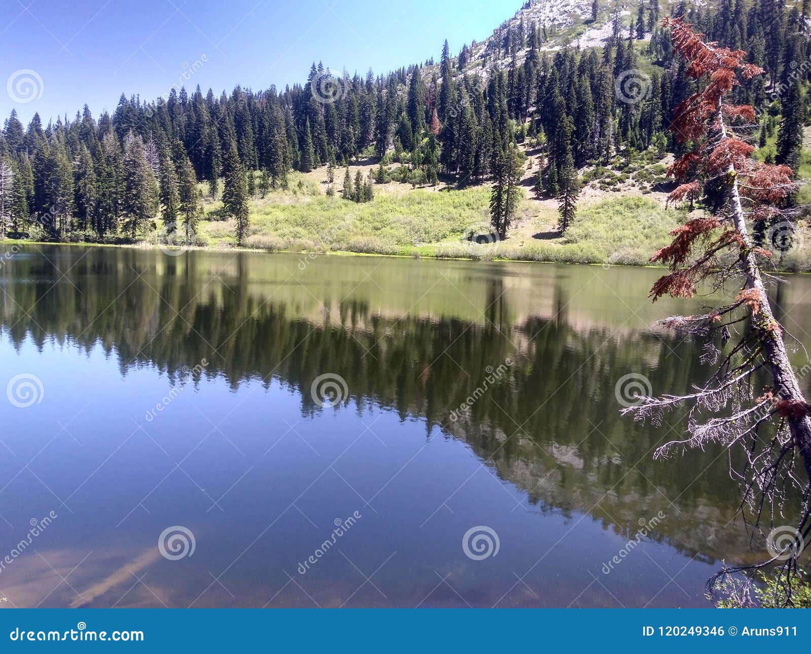 Wilderness in Trinity Alps California Stock Photo - Image of alps ...