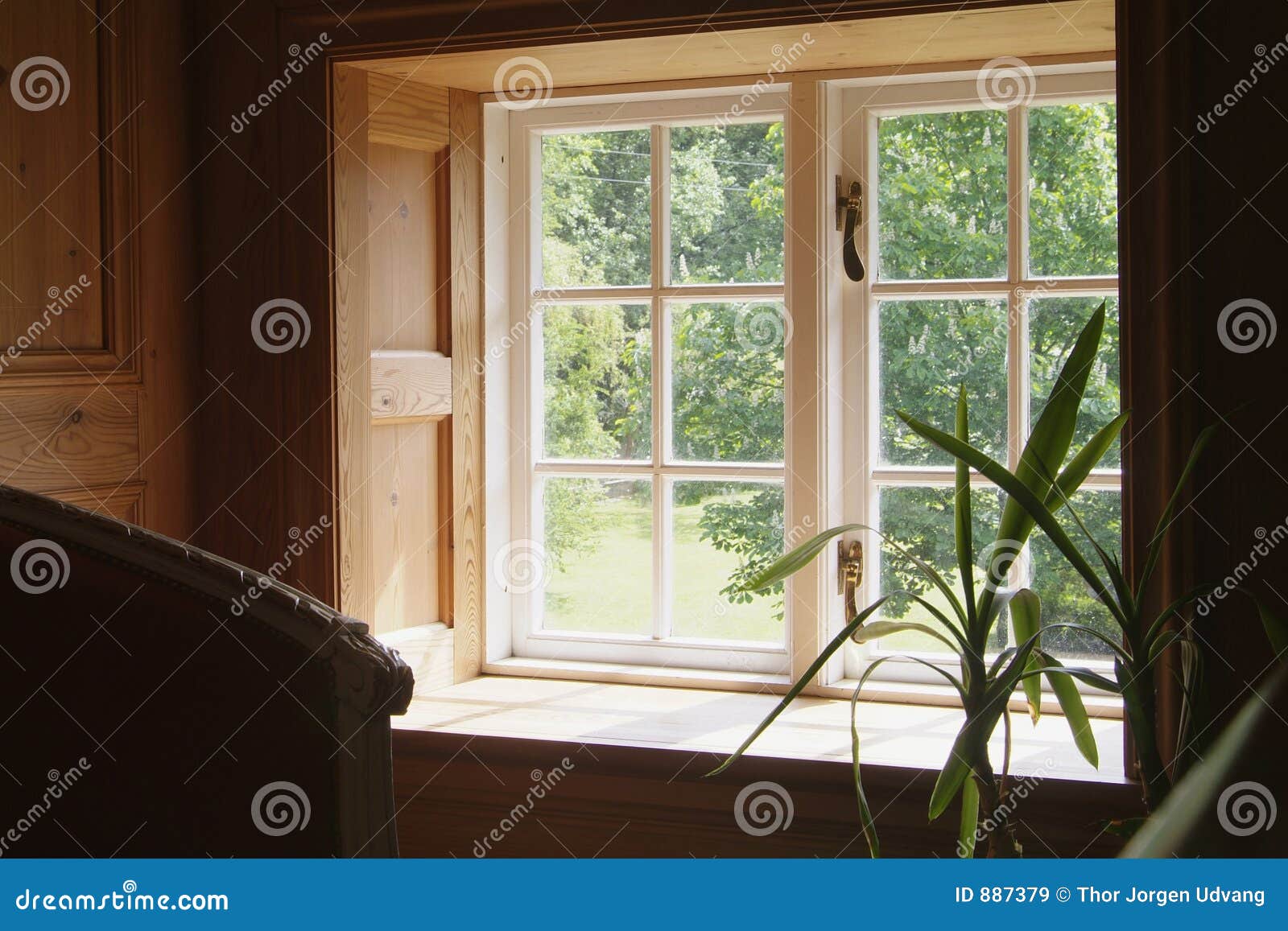 View through a window stock image. Image of floor, green - 887379