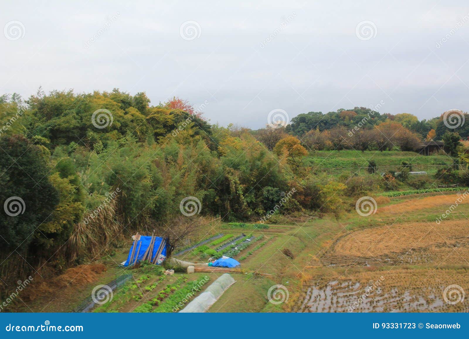 View from Window Airport Express HARUKA, Osaka Stock Image - Image of ...
