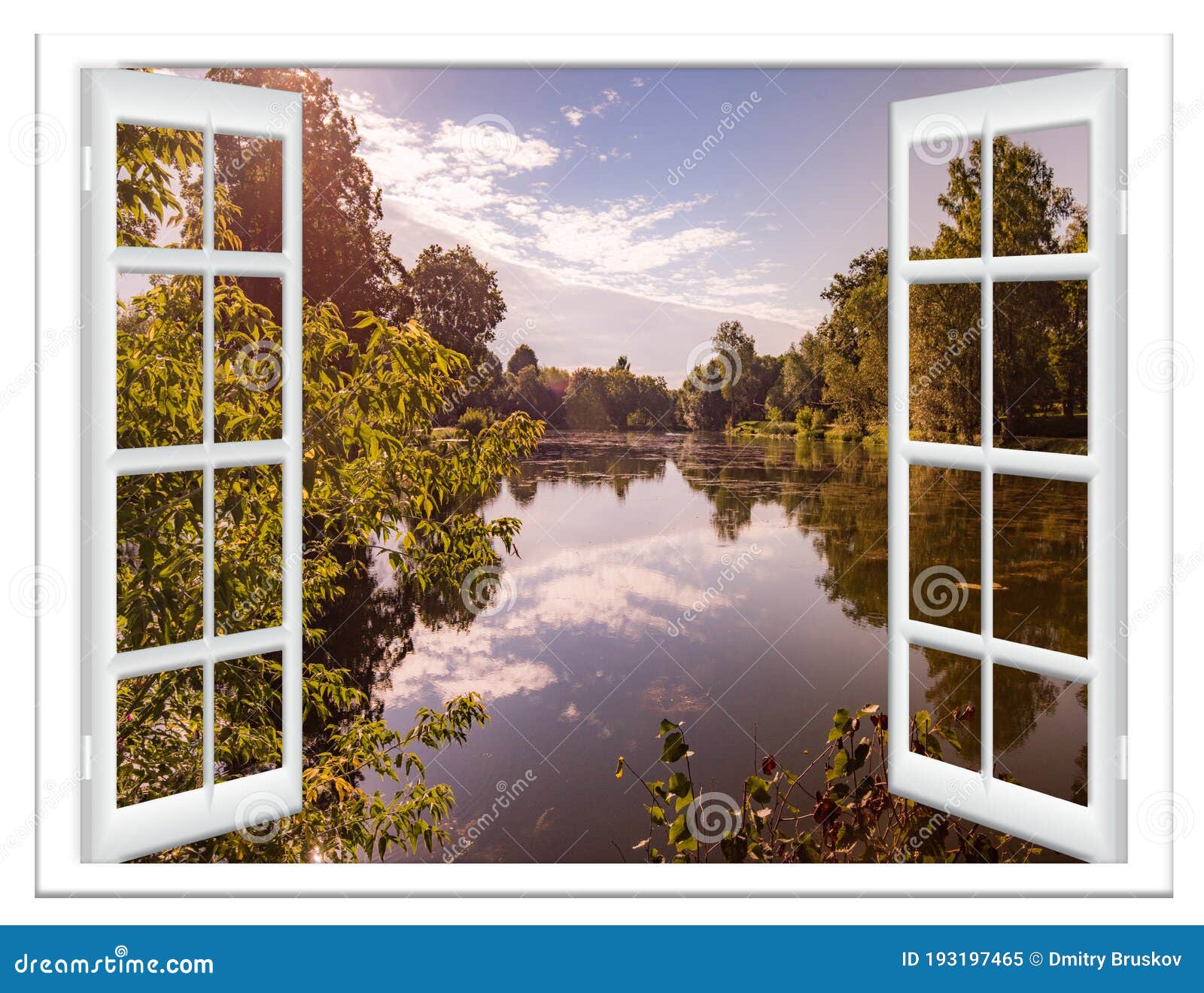 Views of the pond stock image. Image of flora, destination - 193197465