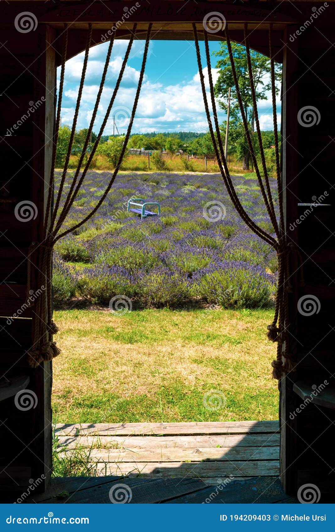 View through the Window on a Countryside with a Lavender Field Stock ...