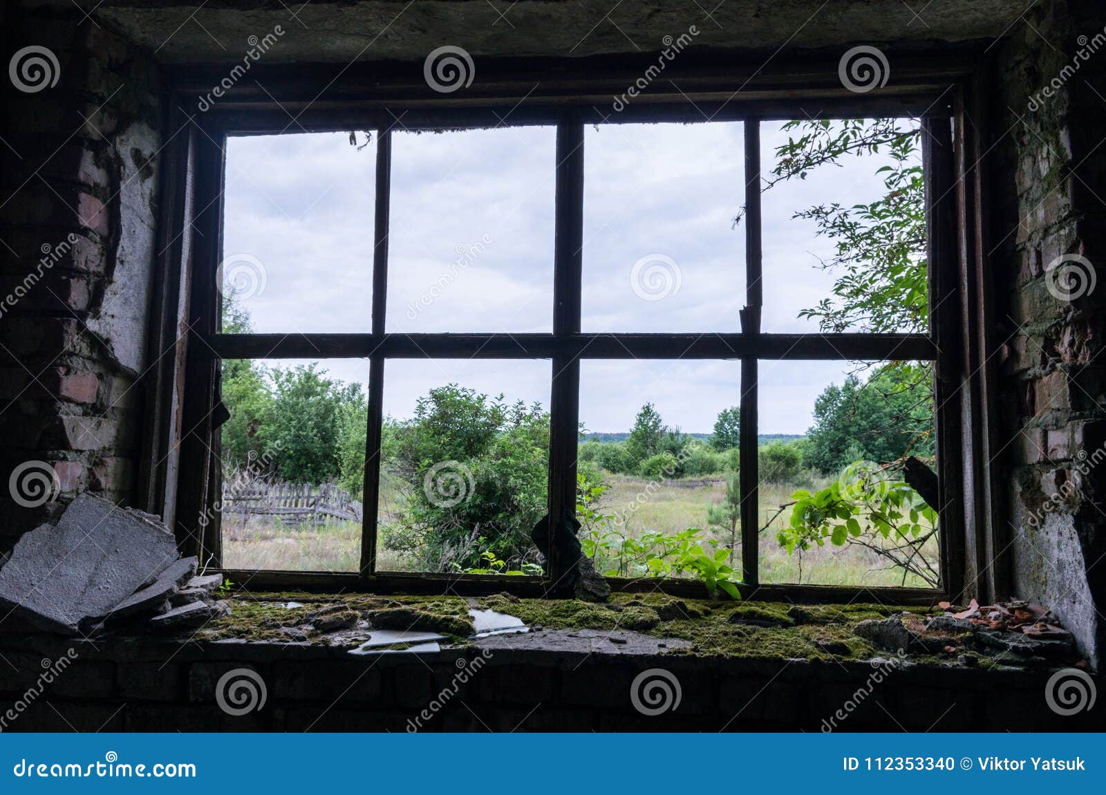 View from the Window in the Field. Wilderness Outside the Window Stock ...