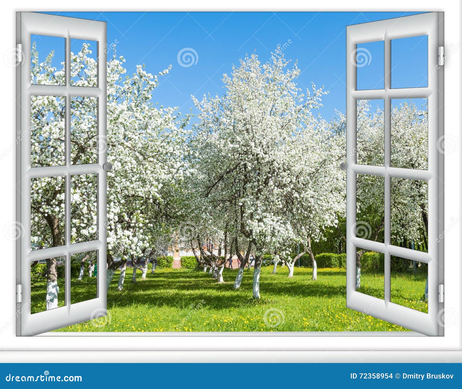 View window flowering tree stock photo. Image of botany - 72358954