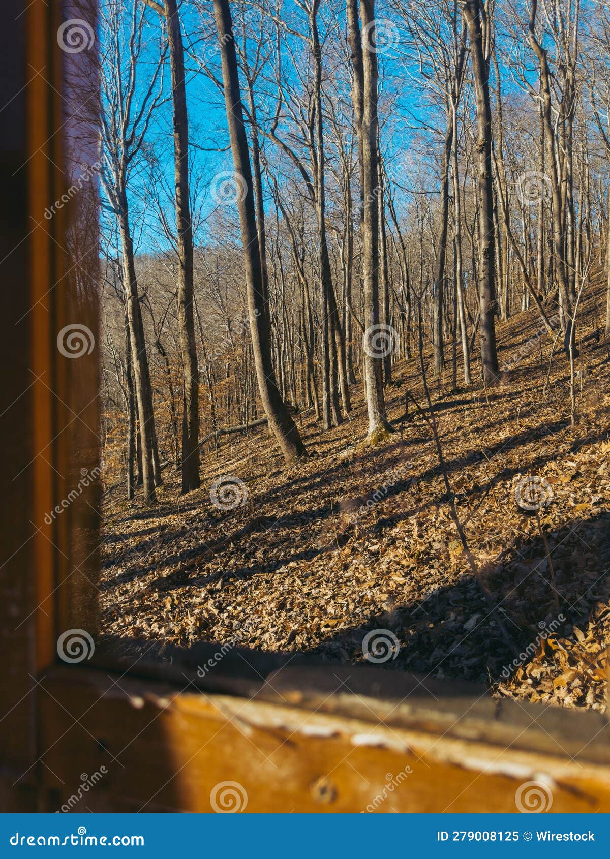 View through a Window Frame with a Forest in the Background Stock Image ...